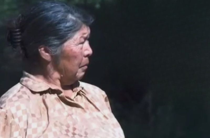 Chile. Caso Julia Chuñil: “Si me pasa algo, ustedes ya saben quién fue ...